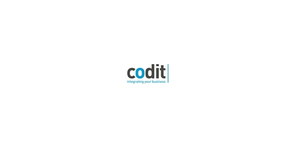 Codit - ITJobs